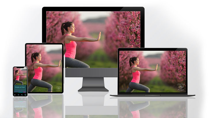 Elementor #665 - Center Point Self-Care